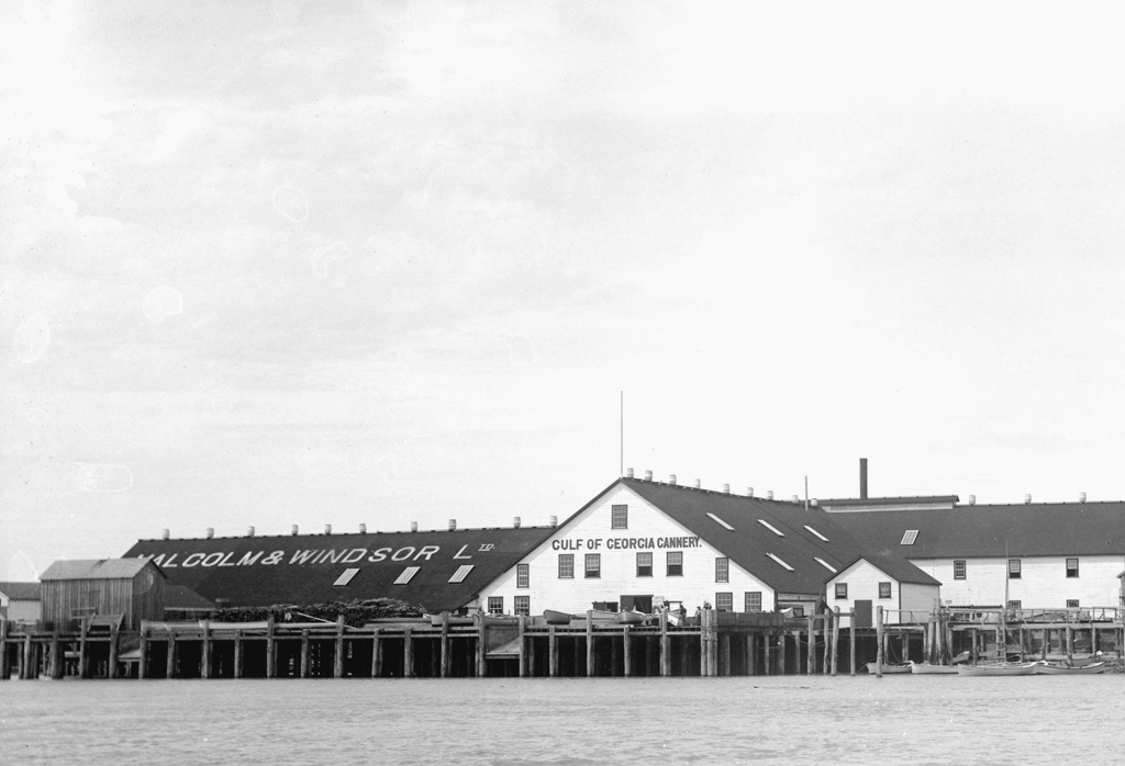 Build Your Own Cannery Game | From Tides to Tins