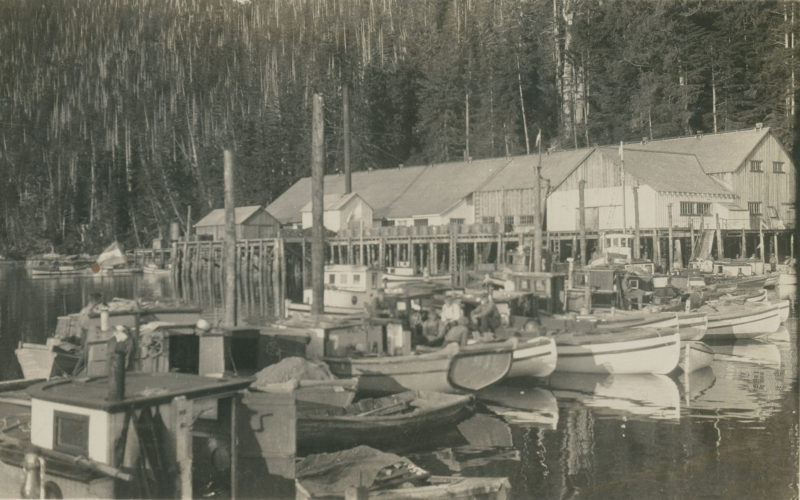 Rivers Inlet Cannery | R.I.C. | From Tides to Tins